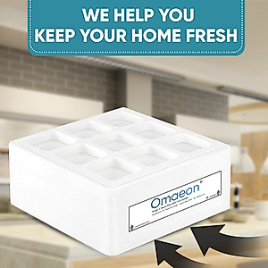 Omaeon Branded Grade H12/H13 True HEPA Replacement Filter Compatible with IQAir HyperHEPA HealthPro Series