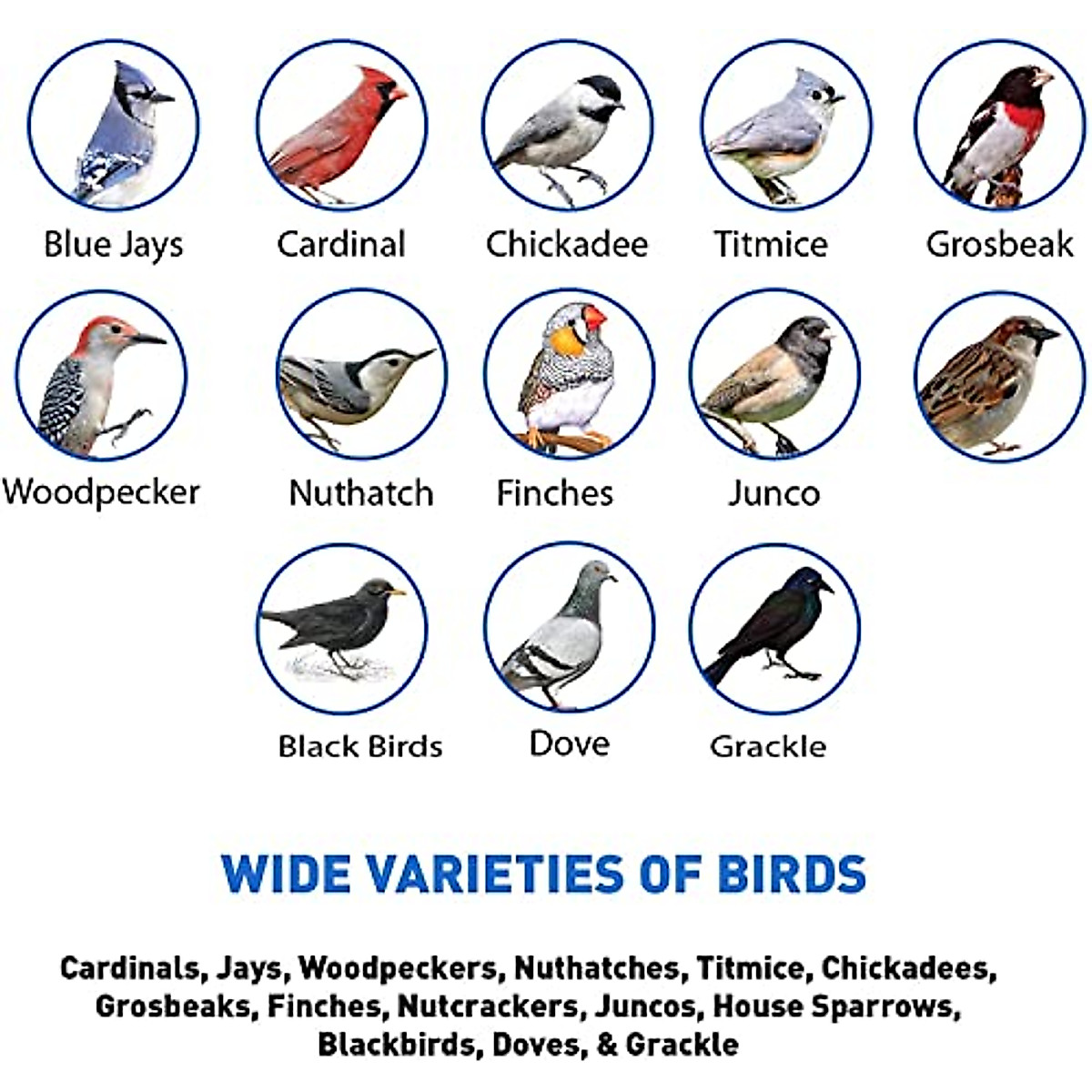 EasyGoProducts Black Oil Sunflower Bird Seed Food – Wild Birds, Cardinals, Squirrels and Much More – 25 Lbs