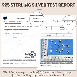 925 Sterling Silver Lobster Claw Clasp with Closed Jump Rings,Necklace Clasps and Closures Suitable for Jewelry Making Necklaces Bracelet Made in Italy