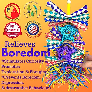 Bonka Bird Toys 1586 Duo Foraging Star Vine Colorful Preening Shredding Chew Parrot Parrotlet, Quaker, Cockatiel, Cockatoo, African Grey, and Similar pet Birds