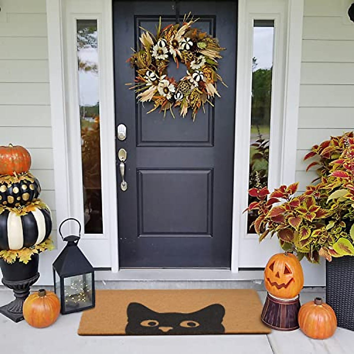 UINI Door Mat Outdoor Indoor Welcome Mats, Cute Cat Front Doormat, Non Slip Durable Entrance Rugs for Front Door, Inside Outside Entry, Porch, Resist Dirt, 17" x 30", Easy to Clean