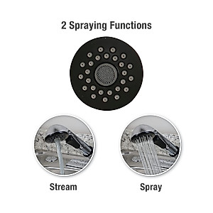 Danco, Chrome 10408 Pullout Kitchen Spray Head