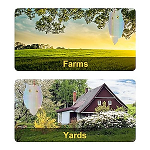 OFFO Owl Decoy to Scare Birds Away (No Bells) Bird Deterrent Device for Woodpecker Pigeon 2 Pcs Plastic Hanging Outdoors Reflective Keep Birds Away Home and Garden