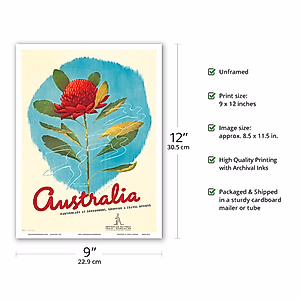 Australia - Red Waratah (Telopea) Flower - New South Wales (NSW) State Emblem - Vintage Travel Poster by Gert Sellheim c.1935 - Master Art Print (Unframed) 9in x 12in