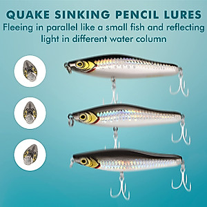 TRUSCEND Pencil Fishing Lures with BKK Hooks, Quake Sinking Floating Pencil Popper, Trembling Sinking Dog Walker for Freshwater and Saltwater, Long-Cast Topwater Fishing Lures, Bass Pike Fishing
