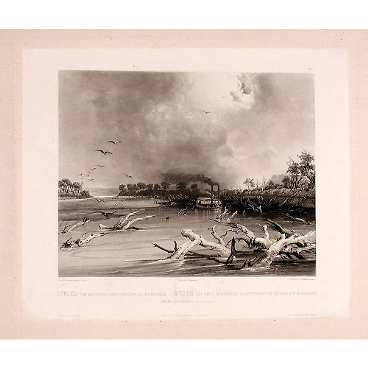 Snags (sunken trees) on the Missouri