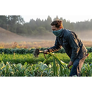 BUFF Standard Merino Wool Move, Graphite, One Size