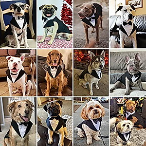Dog Tuxedo and Bandana Set, 2 Pack Pet Costume Puppy Formal Party Suit, Dog Clothes for Small Medium Large Dogs, Dog Prince Bow Tie Shirt Dog Wedding Attire for Golden Retriever Samo Bulldogs (L)