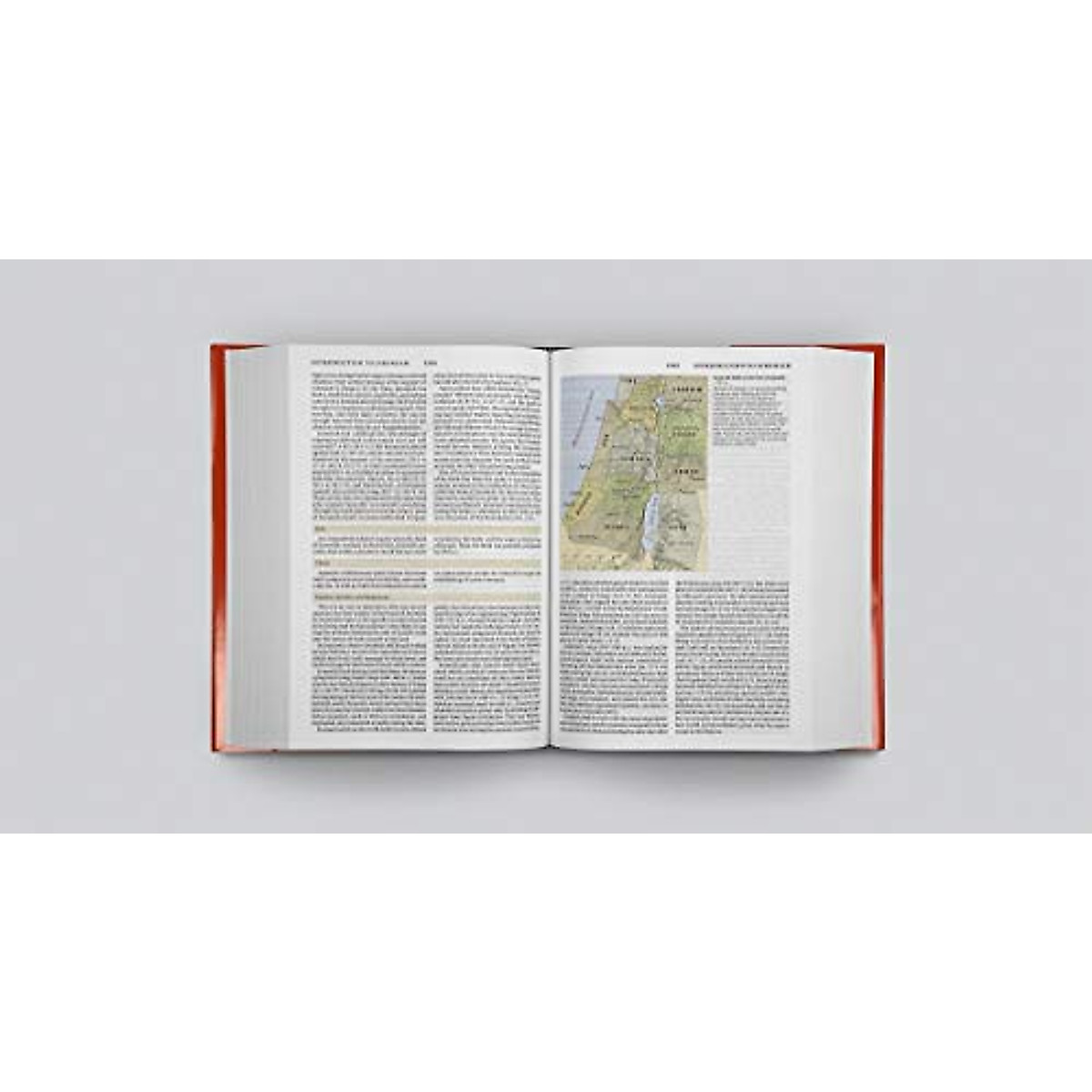 ESV Study Bible