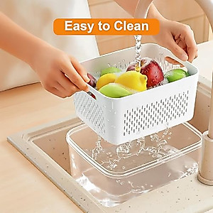 DOPHCOZFFY Airtight Fruit Storage Containers for Fridge with Removable Colander, Dishwasher Safe Produce Saver Container for Refrigerator (3 PCS fruit storage containers)