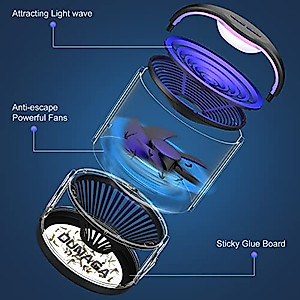 DUNAGA Fly Traps Indoor, Fruit Fly Traps, Gnat Traps, Mosquito Traps, Insect Traps Indoor with 10 Sticky Glue Boards, Black