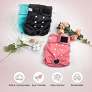 Paw Legend Washable Reusable Female Dog Diapers - No Leak Doggie Diapers for Heat Cycle (3 Pack,X-Small)