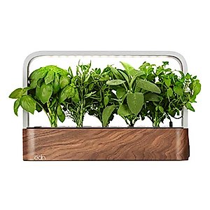 edn SmallGarden with Basil SeedPods, Indoor Grow Smart Garden Starter Kit for Fresh Home Grown Herbs, Plants and Flowers