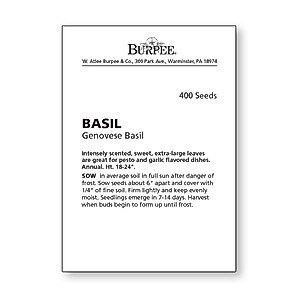 Burpee Genovese Basil Seeds 400 seeds