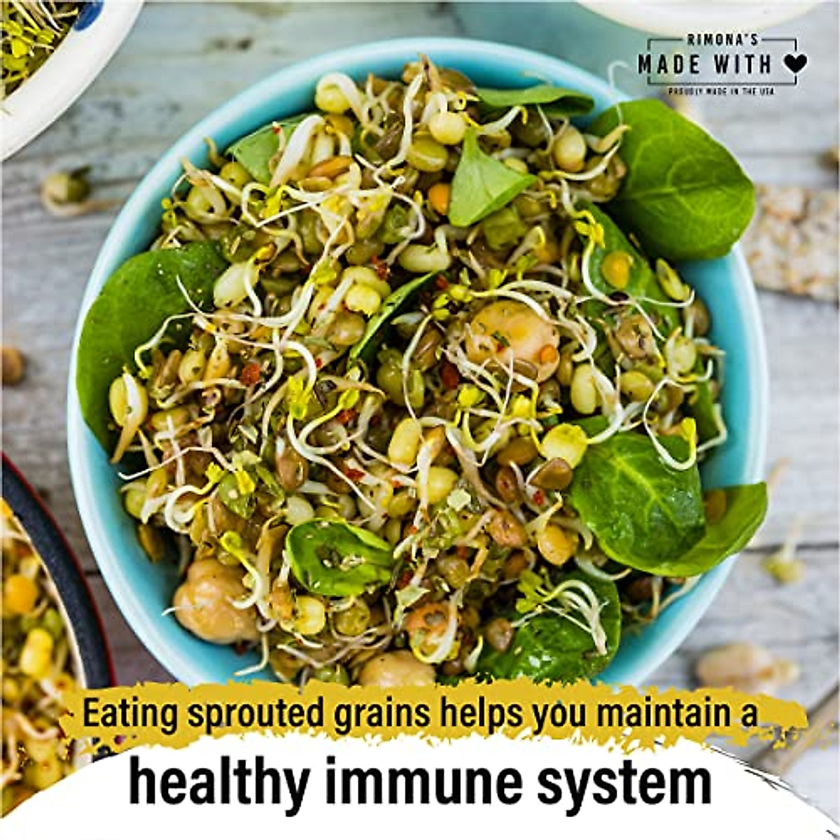 RIMONA’s Sprouting Kit - Stainless Steel Curved Enhanced Mesh Strainers (1 for Big and 1 for Small Seeds), Ball Mason Jar & Holder - Sprout Growing Kit for variety of seeds