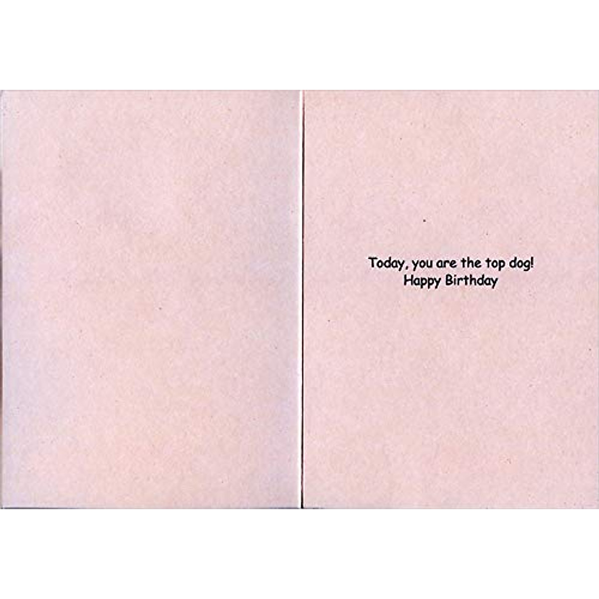 Tracks Publishing Ltd Beagle Puppy Looking at Birthday Cake Funny Dog Birthday Card