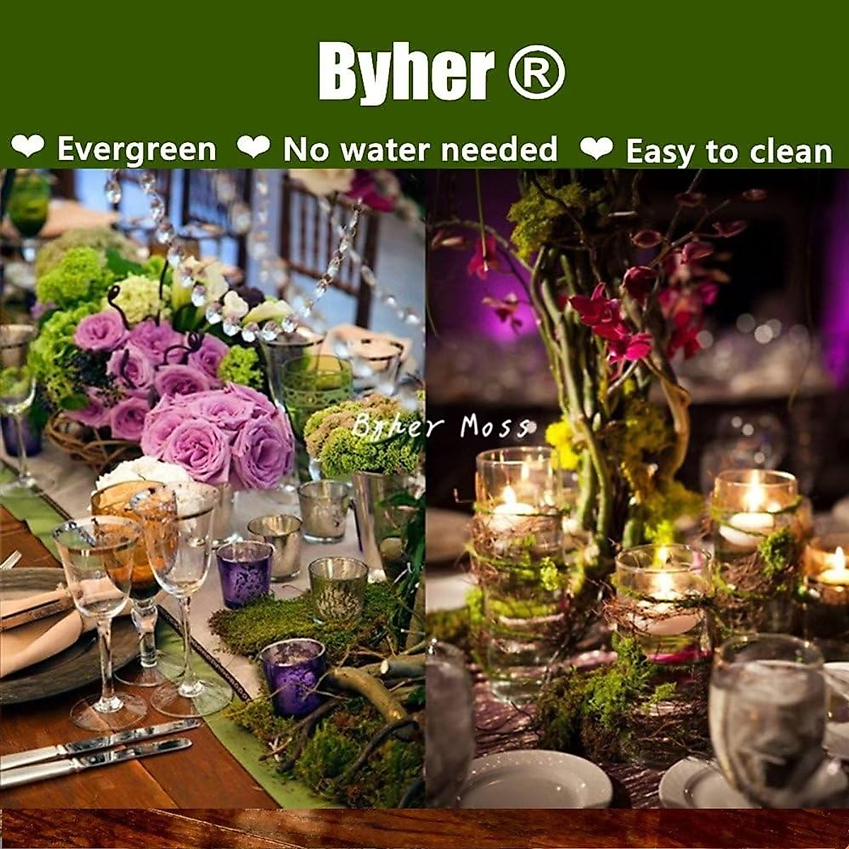 Byher 92926 Preserved Forest Moss, Fresh Green (8OZ)