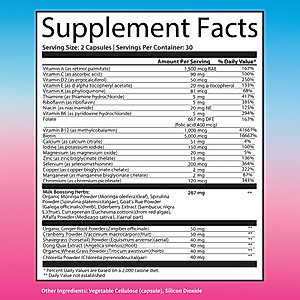 Postnatal Vitamins for Breastfeeding Moms - Lactation Supplement with Organic Herbs, Minerals, Nutrients for New Mothers and Baby - Postpartum Pills for Energy and Mood, Non GMO, Vegan, 60 Capsules