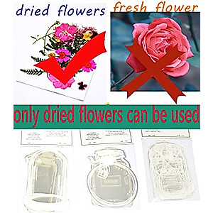 Transparent Dried Flower Bookmarks, Flower Bookmark Maker, Clear Floral Bookmark, Handmade Natural Dried Flower Bookmark, Transparent Floral Page Marker Home School Book Club Supplies (30 Bookmarks)