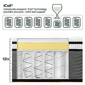 ZINUS 12 Inch Support Plus Pocket Spring Hybrid Mattress, Queen, Strong Coils for Durable Support, Pocket Innersprings for Motion Isolation, Mattress in A Box
