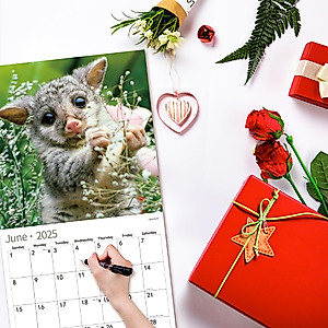 2025 Wall Calendar,Calendar 2025, January 2025 - December 2025, Wall Calendar Baby Animals, 12" x 24" Opened,Full Page Months Thick & Sturdy Paper for Calendar Organizing & Planning