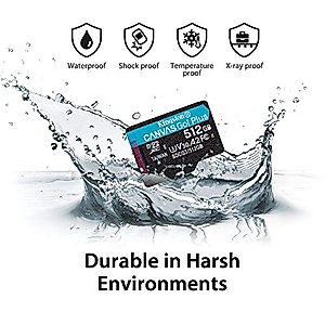 Kingston 128GB microSDXC Canvas Go Plus 170MB/s Read UHS-I, C10, U3, V30, A2/A1 Memory Card + Adapter (SDCG3/128GB)