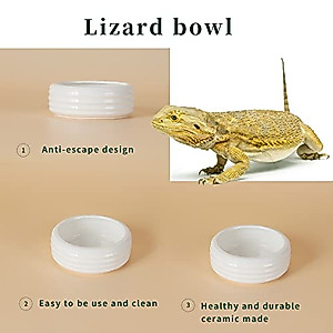 Reptile Food Bowls -Ceramic Round Reptile Water Food Dish, Pet Food Bowl for Lizards, Small Snakes, Young Bearded Dragons, Gecko Tortoise Spider (White, Large-1Pack)