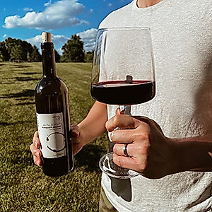 PURE MORA The Luna Red Wine Glasses - Set of 4, 20 oz, Modern Oversized Hand Blown Crystal Glass, Perfect for Drinking Aperol Spritz, Cabernet Sauvignon, Merlot, Etc. Unique, Elegant, and Large