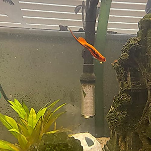 Bilindasly 16mm Stainless Steel Aquarium Inflow Inlet Filter Aquarium Filter Intake Cover Fish Shrimp Mesh Net Filter Guard Fish Tank Intake Strainer Cover