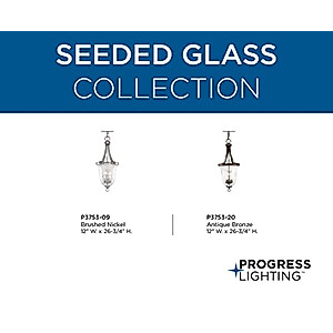 Progress Lighting P3753-20 Seeded Glass Hall & Foyer, Bronze