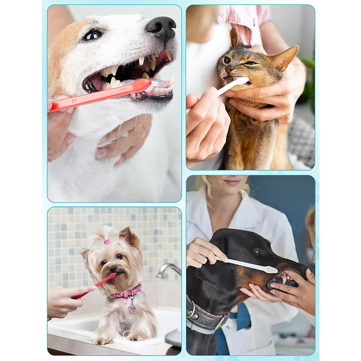 CRAZYBELLY 10 Pcs Dog Toothbrush Cat Toothbrush Pet Toothbrush Dual-Headed Toothbrush for Dogs Teeth Cleaning Dog Tooth Brush