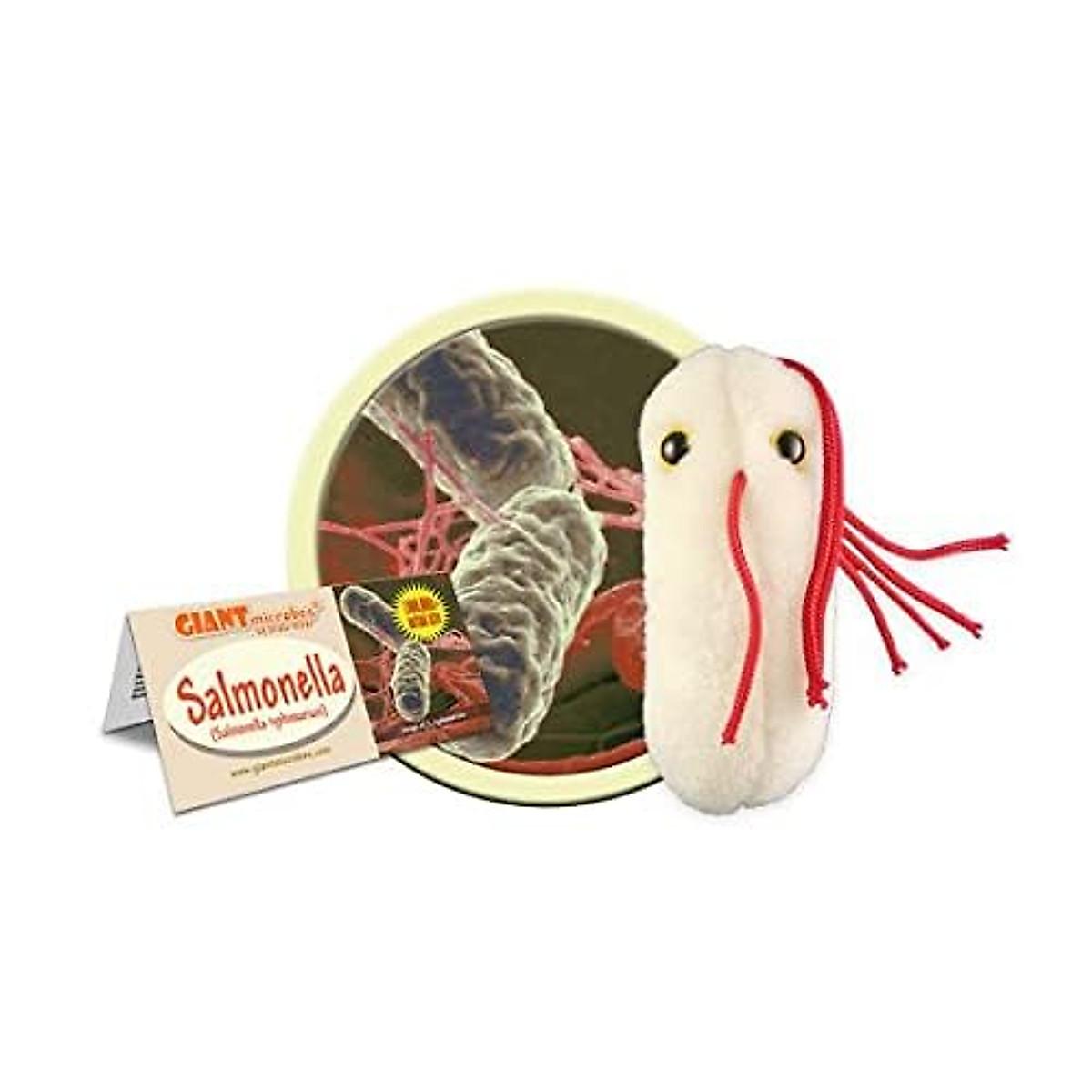 GIANTmicrobes Salmonella Plush -Learn About Food Safety, Bacteria and Gut Health with this Unique Fun Gift for Friends, Families, Teachers, Chefs, Doctors, Gastroenterologists, Students and Scientists