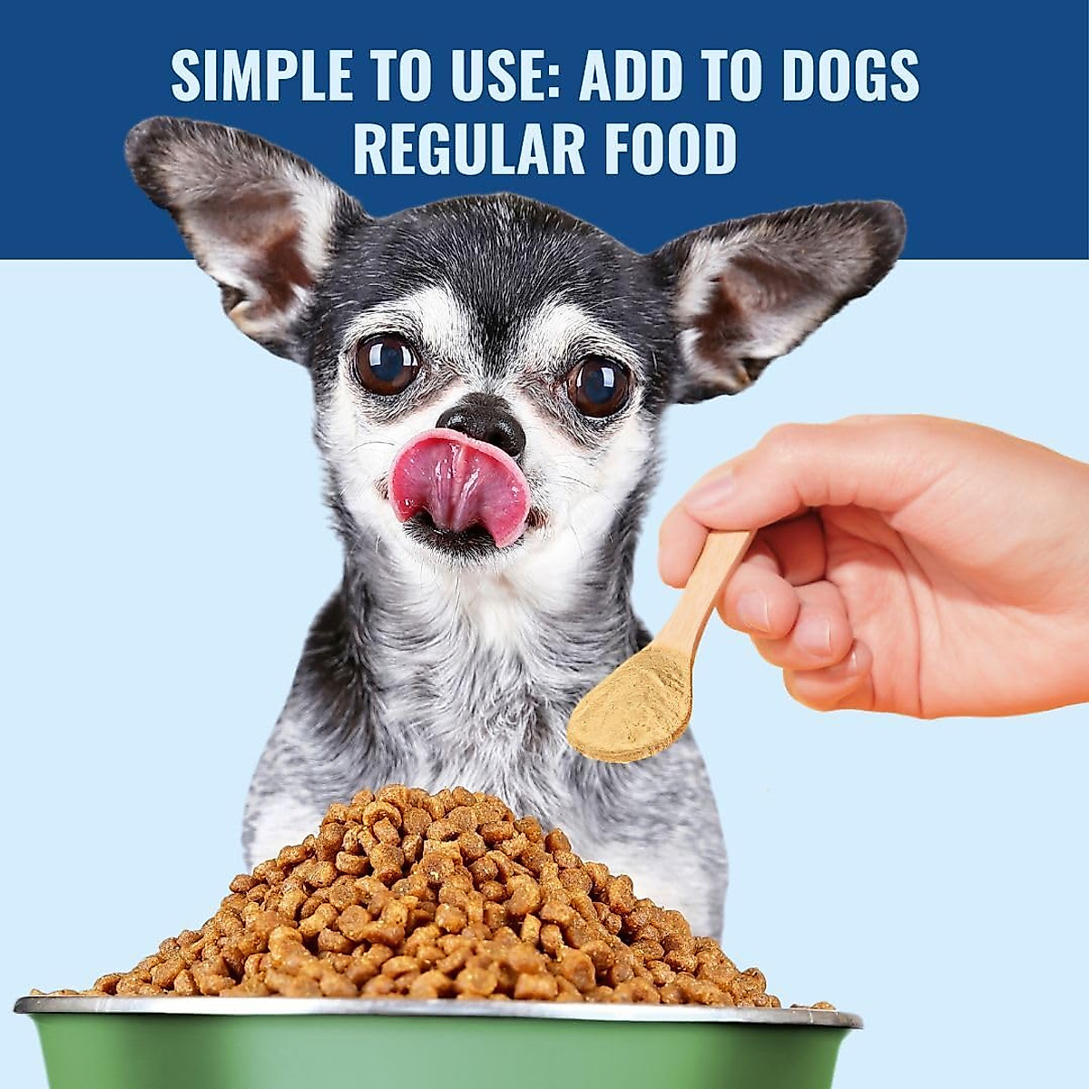 Green Lipped Mussel & Gut Health for Dogs of All Ages & Breeds