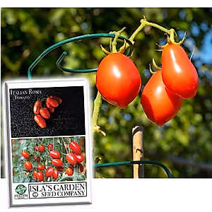 "Italian Roma" Tomato Seeds for Planting, 25+ Heirloom Seeds Per Packet, (Isla's Garden Seeds), Non GMO Seeds, Botanical Name: Solanum lycopersicum, Great Home Garden Gift