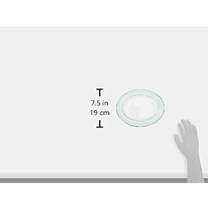 Kate Spade Parker Place 13" Oval Serving Platter, 3.20 LB, Blue