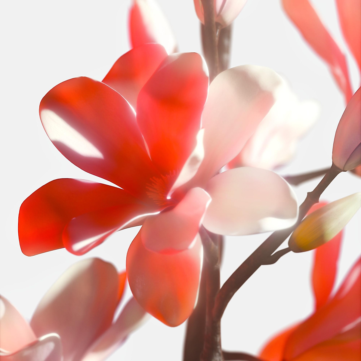 Tommy Hilfiger Tommy Now Girl EDT Spray Women 3.4 oz