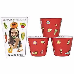 Window Garden Sow Much Fun Seed Startining Kit for Kig, Vegetable Planting and Growds, 3 Self Watering Planters, Soil, Seeds and Puffy Stickers. No Mess, Easy (Cucumber)