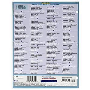 French Verbs (Quick Study Academic)