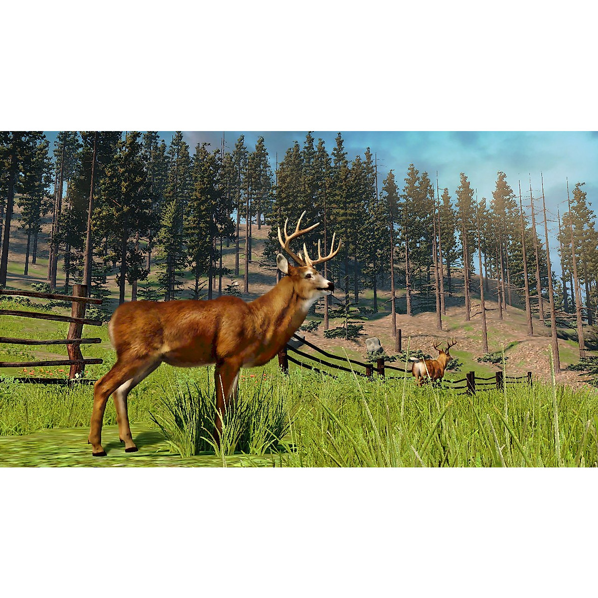 Cabela's North American Adventures 2011 - Sony PSP