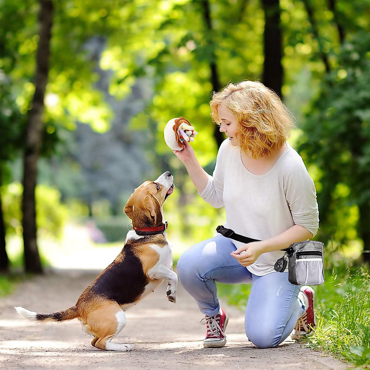 STMK Dog Treat Pouch Dog Clicker Training Kit, Dog Training Treat Pouch Dog Clicker for Training, 3 Ways to Wear Easily Carries Treat Pouches for Pet Training (Grey)