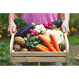 Purple Cow Organics All Purpose Veggie Mix, 1 Cubic Foot Bag, Organic Chemical-Free & Ready to Use Plant Based Compost Blend for Vegetable Gardens, Containers & Planter Pots, Raised Bed Boxes