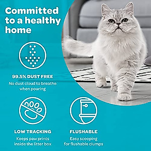 sWheat Scoop Natural Wheat Cat Litter, Original, Fast Clumping with Odor Neutralizing Enzymes, 25 Pound Bag