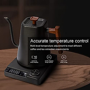 ARKANTOS 1L Gooseneck Electric Kettle with Auto Shut-off, Temperature control Stainless Steel Kettle, Keep Warm for 24h, Dry Burning Protection, Black