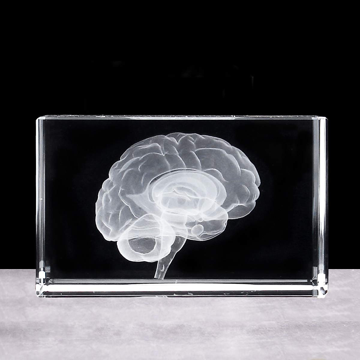 3D Human Brain Anatomical Model Paperweight(Laser Etched) in Crystal Glass Cube Science Gift (No Included LED Base)(3.1x2x2 inch)