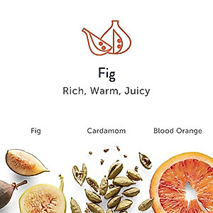 Harry's Deodorant & Antiperspirant - Odor & Sweat Control Antiperspirant for Men - Fig, 3 Count (Pack of 1)