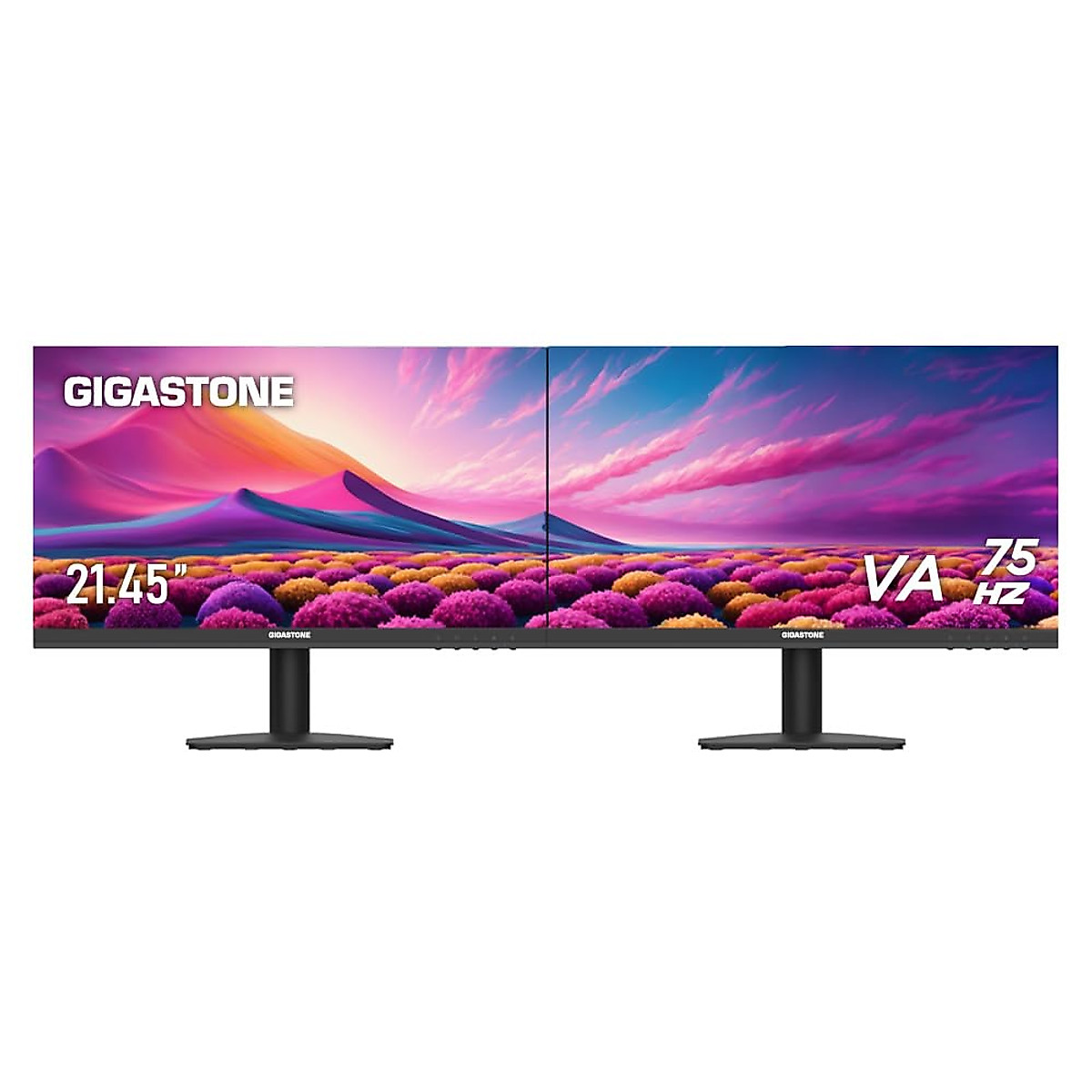 Gigastone 21.45 inch VA LED Back Light Monitor 2-Pack 75Hz FHD 1920 x 1080, 1080P 178° Wide View Frameless, Dual Monitor, 4ms, Eye Care Technology, Ergonomic Tilt VESA Mount, HDMI VGA