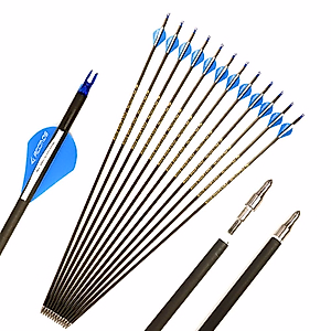 600 Spine Arrow 27 Inch Arrow Target Practice Arrow Hunting Arrow Carbon Arrows Compound Bow Recurve Bow Adult Youth Archery Indoor Outdoor Shooting Field Tip