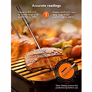 Govee Meat Thermometer 3.5mm Replacement Probes 2-Pack for Models H5181, H5182, H5183, H5184, H5185, H5198