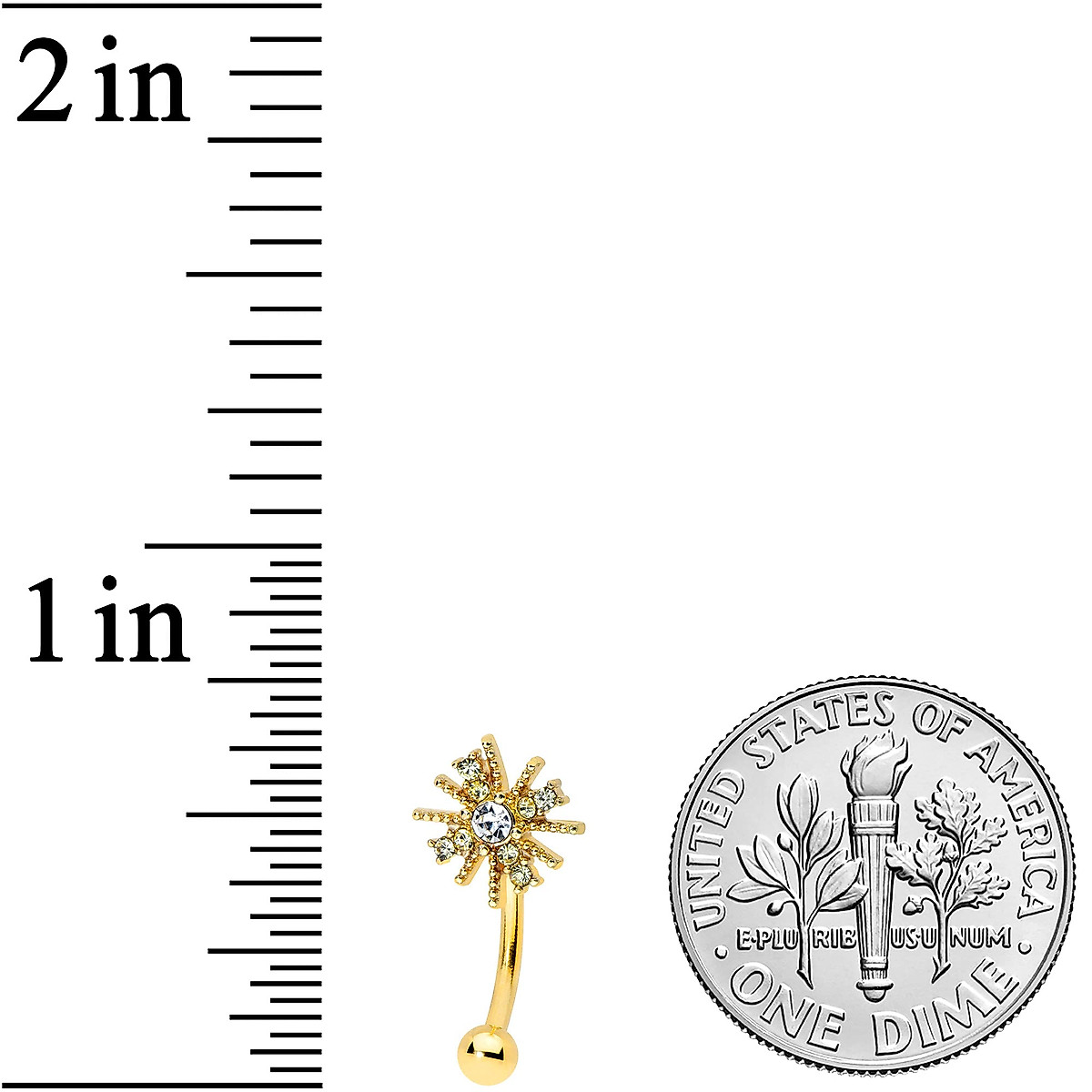 Body Candy 16G PVD Steel Eyebrow Jewelry Cartilage Tragus Daith Conch Rook Clear Accent Eyebrow Ring 5/16”