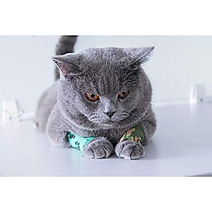 MUEUSS Self Adhesive Bandage Wrap Cohesive Bandage for Dogs Cats Horses Bandage, Pet First Aid Tape Athletic Sports Wrap Tape Non-Woven Elastic Self Adherent Wrap for Knee Ankle (2inches 6rolls)